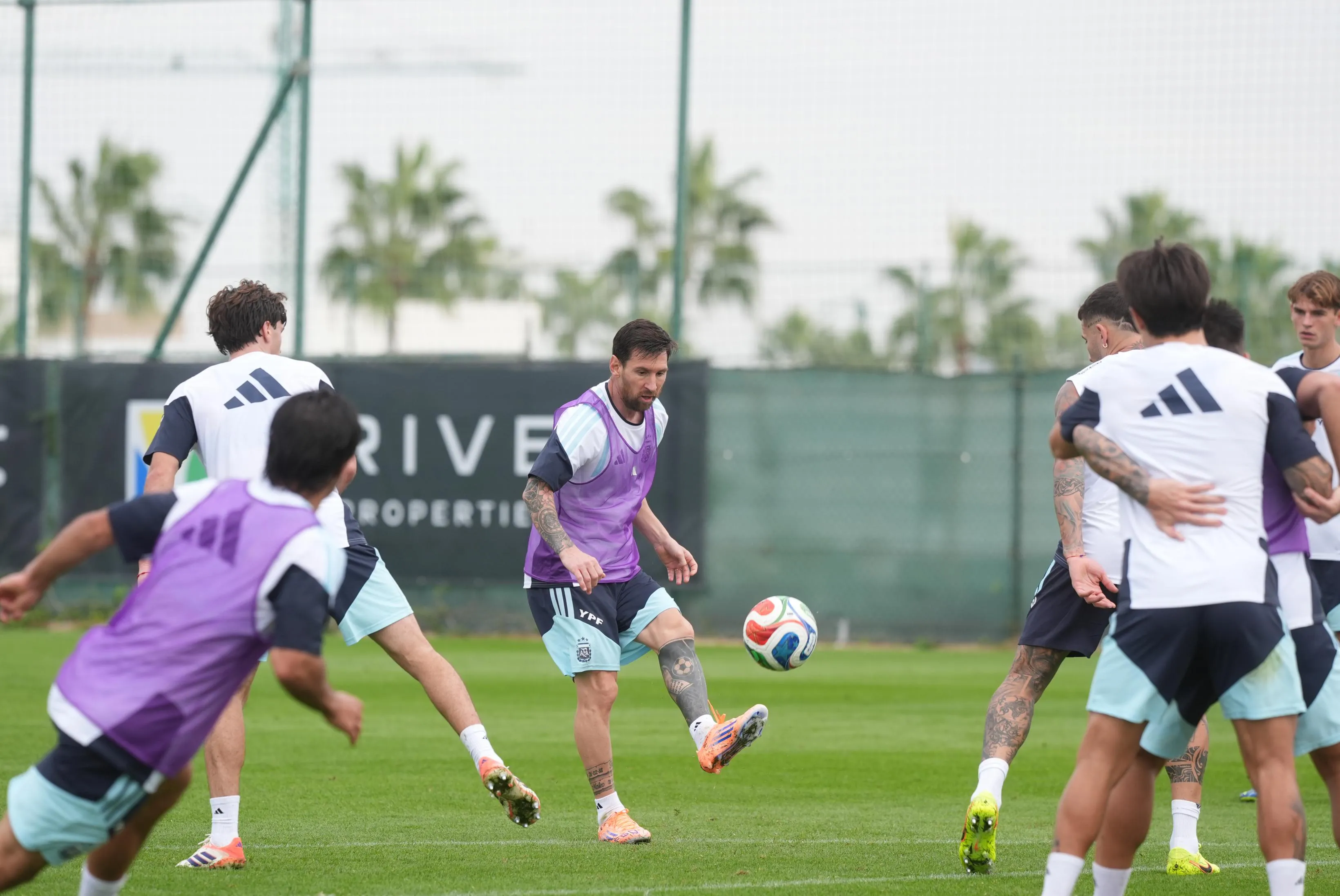 El campeón en Alicante